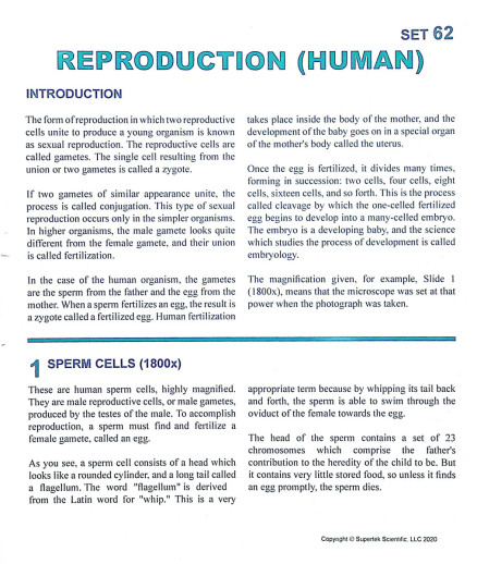 Reproduction (human) Microslide Lesson Set