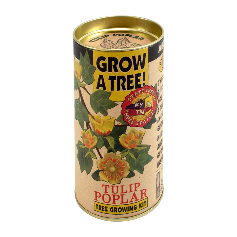 Tulip Poplar Grow-A-Tree Kit