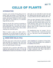 Cells of Plants Microslide Lesson Set