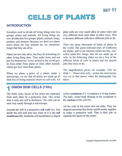 Cells of Plants Microslide Lesson Set