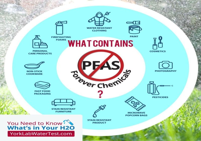 Forever Chemicals (PFAs)