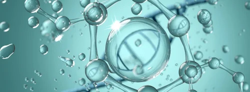 1‑h Bundle and Mortality in Patients With Suspected Sepsis