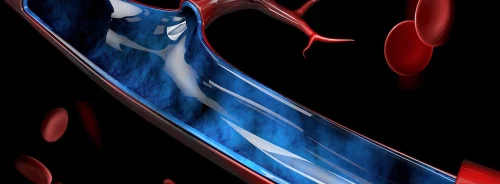 2025 ACC/AHA/ACEP/NAEMSP/SCAI Acute Coronary Syndromes Guideline