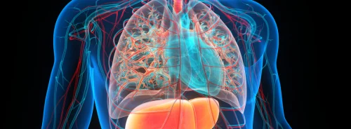 Imaging Referral Guidelines: Update from RCR’s iRefer Guidelines