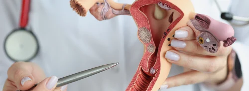 Nuance PowerShare Network: Industry's Largest Imaging Exchange