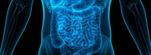 Nuance PowerShare Network: Industry's Largest Imaging Exchange