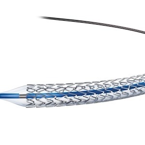 Stents as Safe as Bypass Surgery for Left Main Heart Disease ...