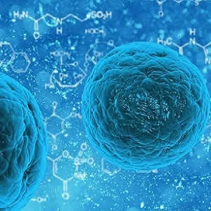 Stem Cell Patch Improves Heart Failure Symptoms