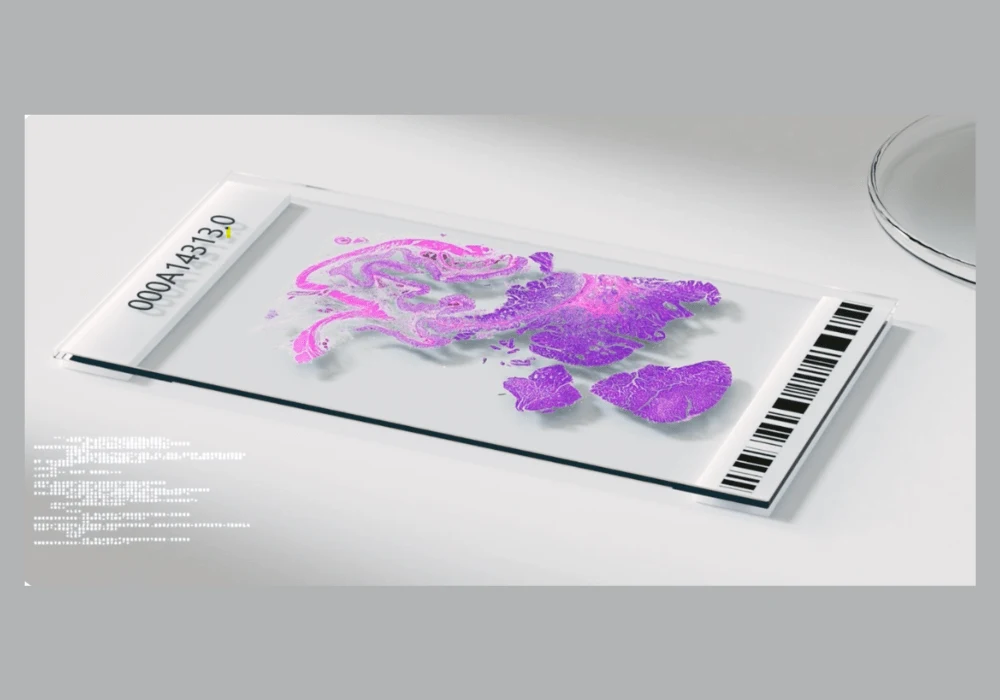 Bioptimus Launches H-Optimus-0, the World's Largest Open-Source AI ...