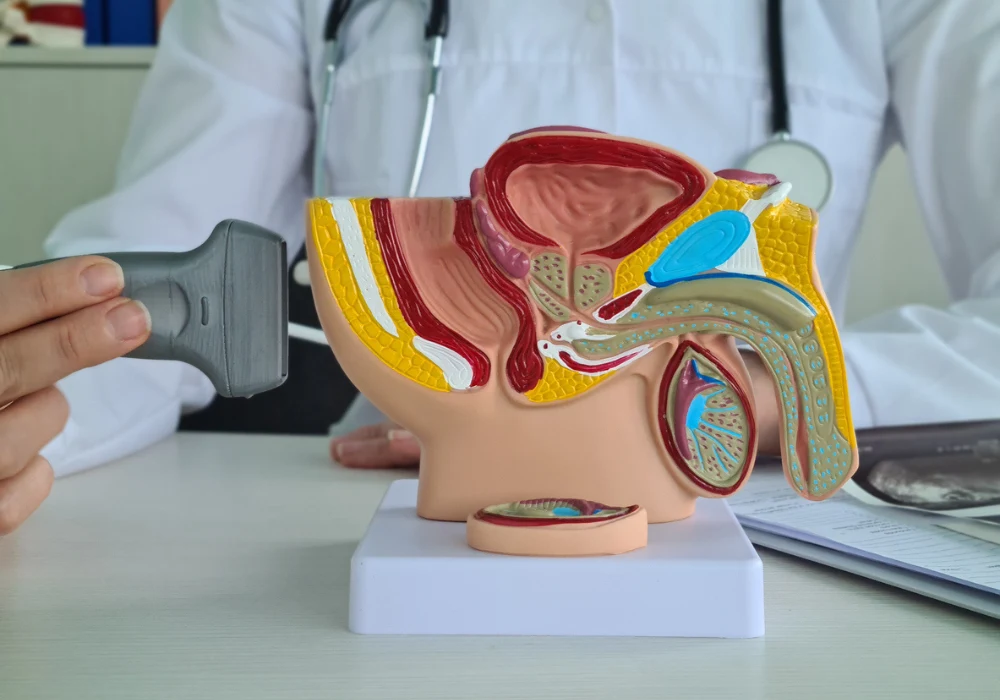 Multiparametric MRI for Predicting Aggressive Prostate Cancer