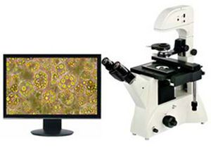 Health Management and Leadership Portal | Laboratory stereo microscope ...