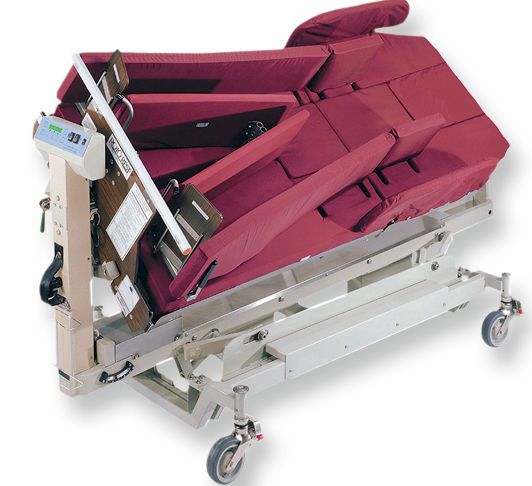 Health Management and Leadership Portal | Intensive care bed ...