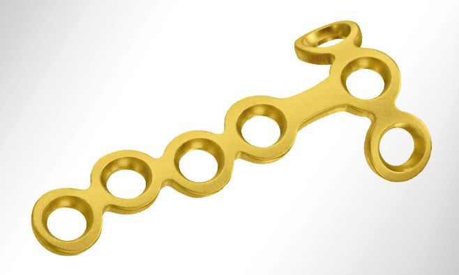 Health Management and Leadership Portal | Metacarpophalangeal joint ...