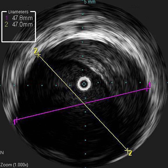 Health Management and Leadership Portal | Analysis software / for ...