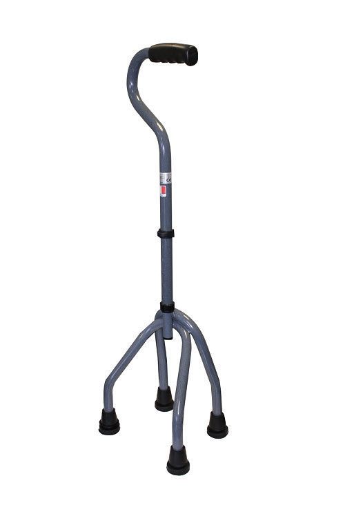 Health Management and Leadership Portal | Quadripod walking stick ...