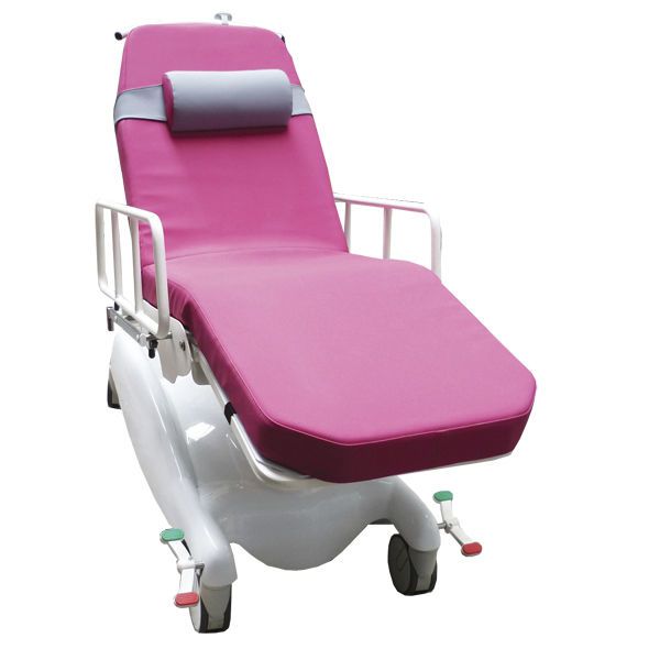 Health Management and Leadership Portal | Transport stretcher trolley ...
