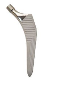 Health Management and Leadership Portal | Traditional acetabular ...