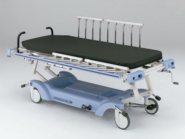 Health Management and Leadership Portal | Transport stretcher trolley ...