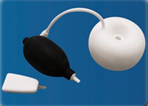 Health Management and Leadership Portal | Doughnut vaginal pessary ...