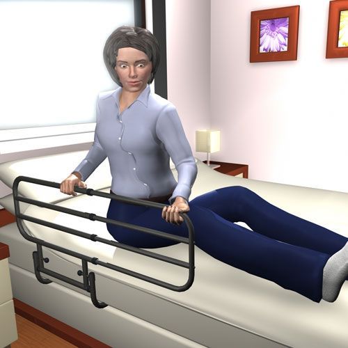 Health Management and Leadership Portal | Medical bed guard TRAVELER ...