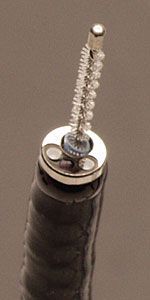 Health Management and Leadership Portal | Esophageal biopsy brush swab ...