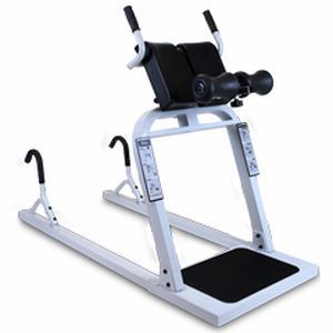 Health Management and Leadership Portal | Inversion table 700ia Teeter ...