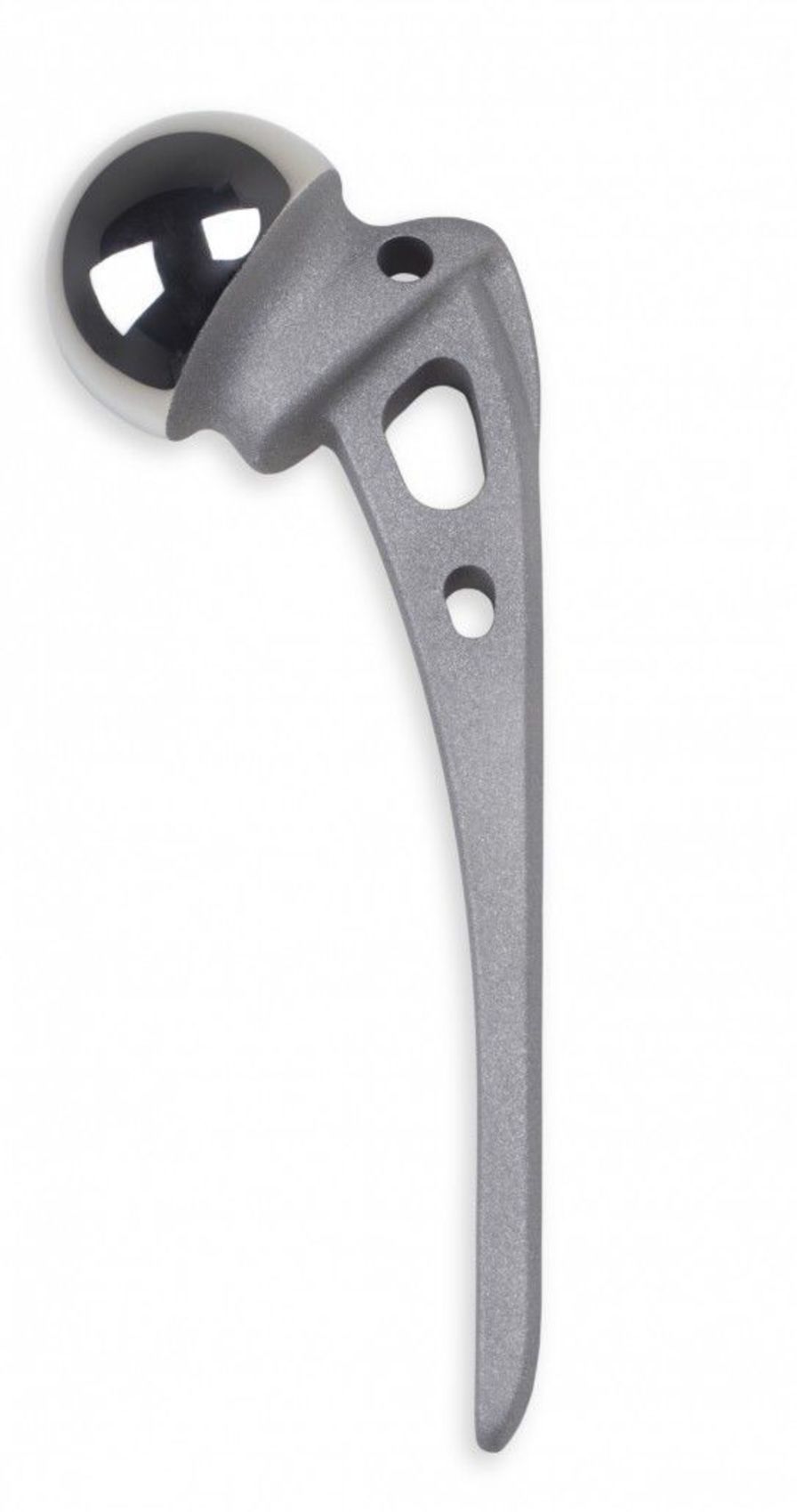 Health Management and Leadership Portal | Traditional hip prosthesis ...