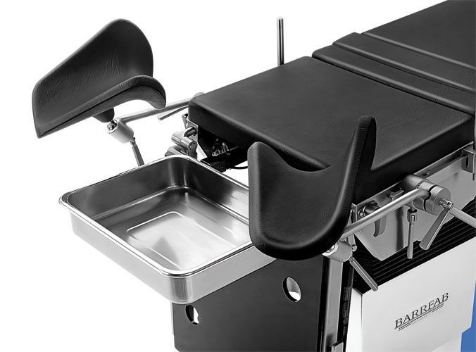 Health Management and Leadership Portal | Leg holder Goepel / operating ...