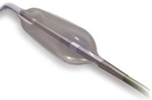 Health Management and Leadership Portal | PTCA catheter / balloon ...