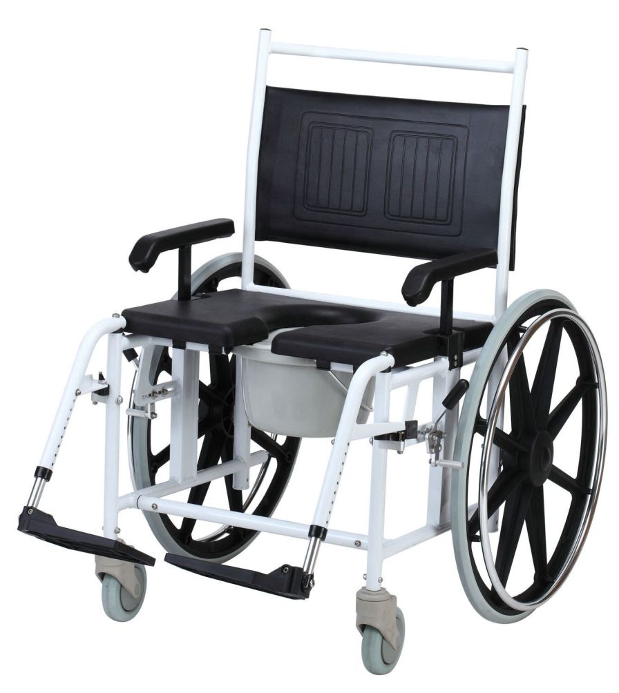 Health Management and Leadership Portal | Passive wheelchair ...