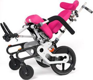 Health Management and Leadership Portal | Passive wheelchair ...