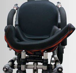 Health Management and Leadership Portal | Passive wheelchair ...