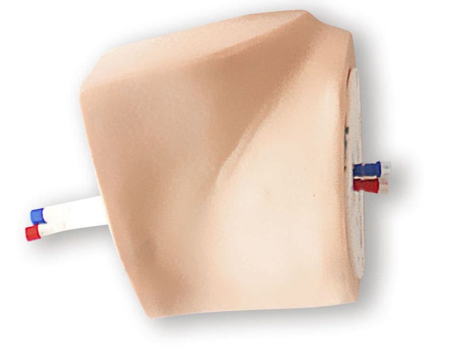 Health Management and Leadership Portal | Ultrasound imaging test ...