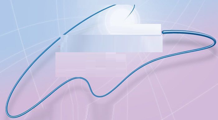 Health Management and Leadership Portal | Catheter guidewire / coronary ...