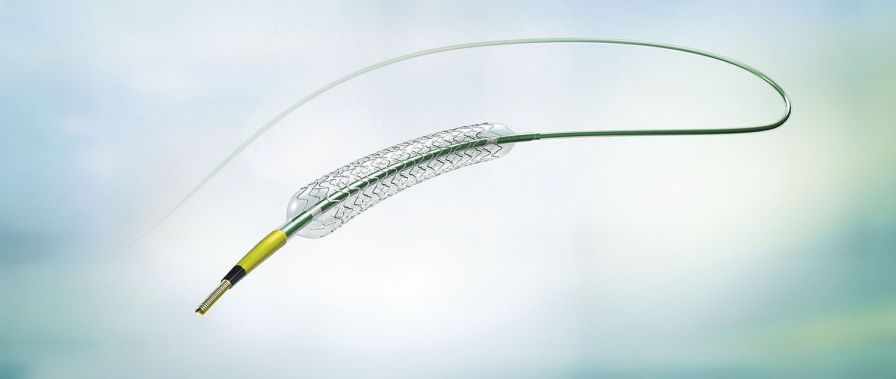 Health Management and Leadership Portal | Coronary stent / cobalt ...