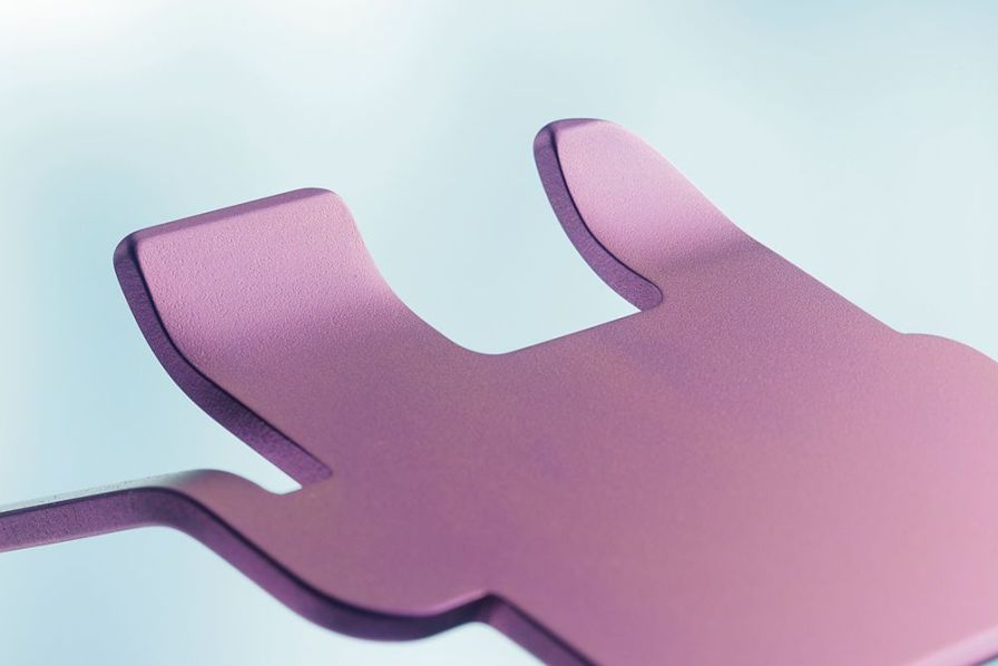 Health Management and Leadership Portal | Human intramedullary nail ...