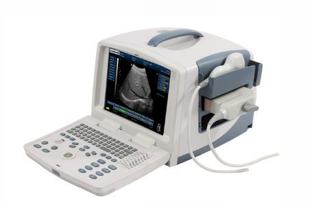 Health Management and Leadership Portal | Portable ultrasound system ...