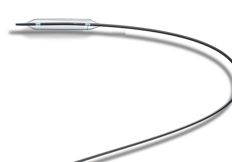 Health Management and Leadership Portal | PTCA catheter / balloon OPN ...