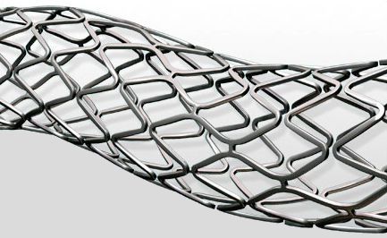 Health Management and Leadership Portal | Coronary stent / titanium ...