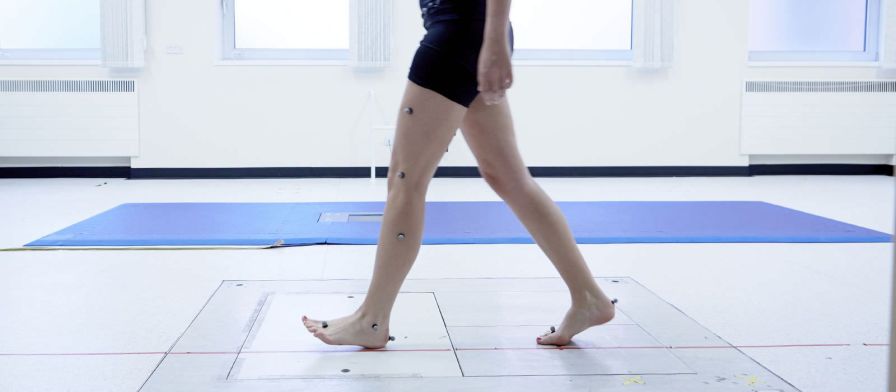 Health Management and Leadership Portal | Gait functional capacity ...