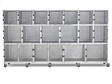 Health Management and Leadership Portal | Veterinary platform scale ...