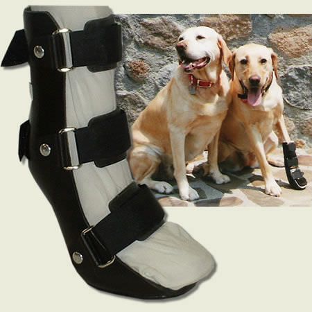 Health Management and Leadership Portal | Leg veterinary splint / for ...