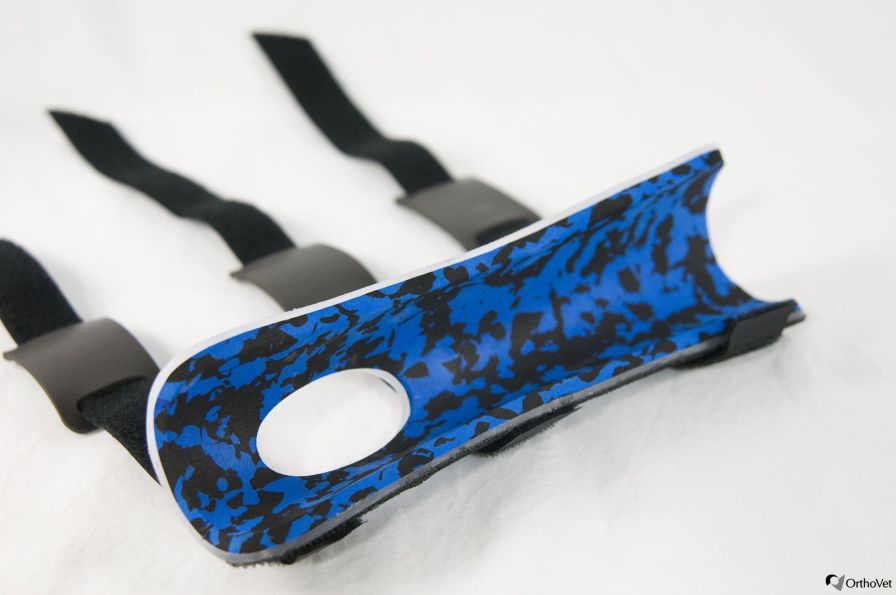 Health Management and Leadership Portal | Leg veterinary splint / for ...