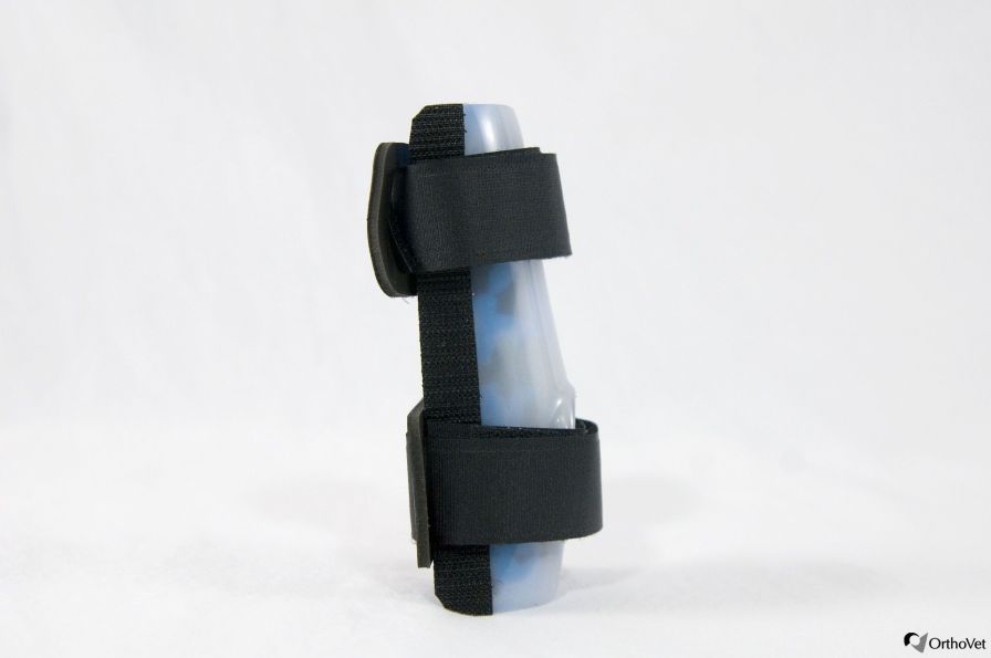 Health Management and Leadership Portal | Leg veterinary splint / for ...