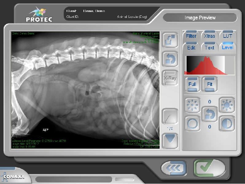 Health Management and Leadership Portal | Standard radiography films X ...