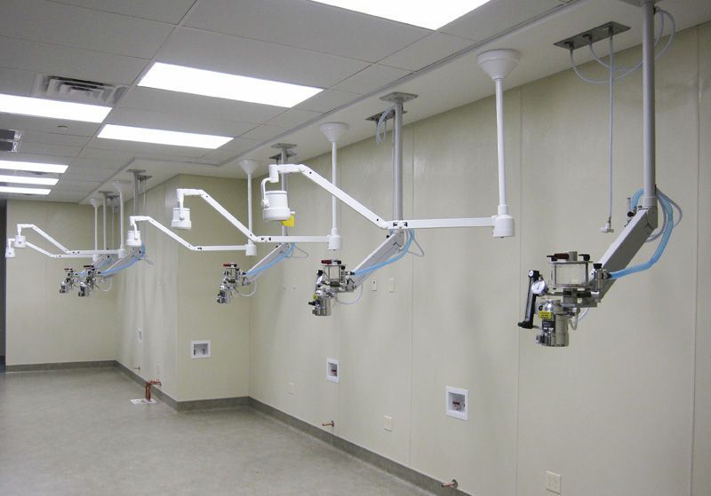 Health Management and Leadership Portal | Veterinary anesthesia ...