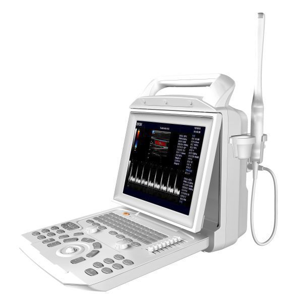 Health Management and Leadership Portal | Digital electrocardiograph ...