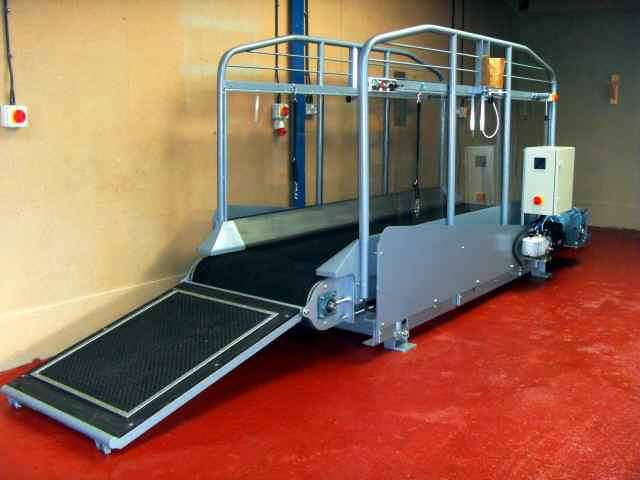Health Management and Leadership Portal | Horse treadmill Cambros ...
