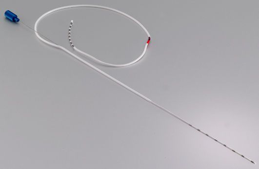 Health Management and Leadership Portal | EEG electrode / cortical C10 ...