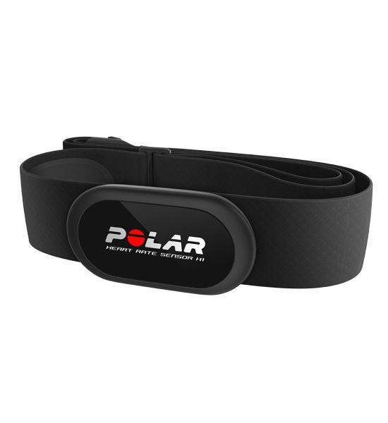 Health Management and Leadership Portal | ECG patient monitor ...